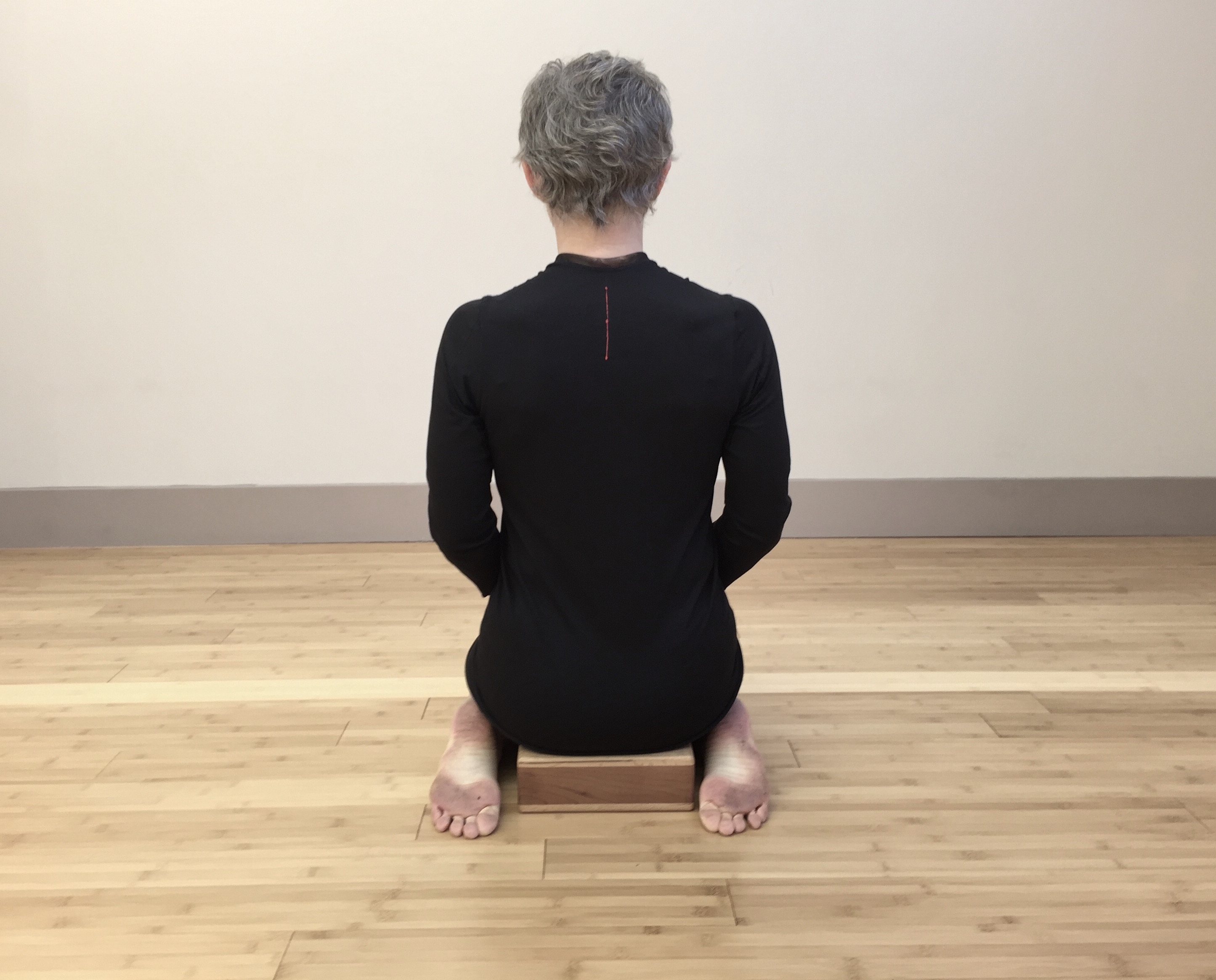 Study Guide – julia shaida yoga
